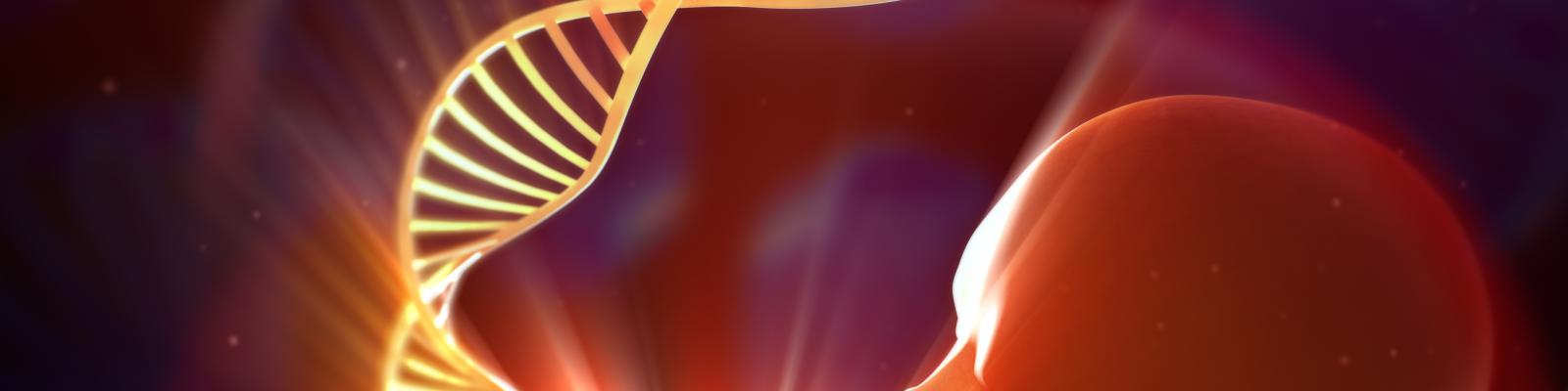 Prenatal Genetic Diagnosis by Genomic Sequencing: A Prospective ...